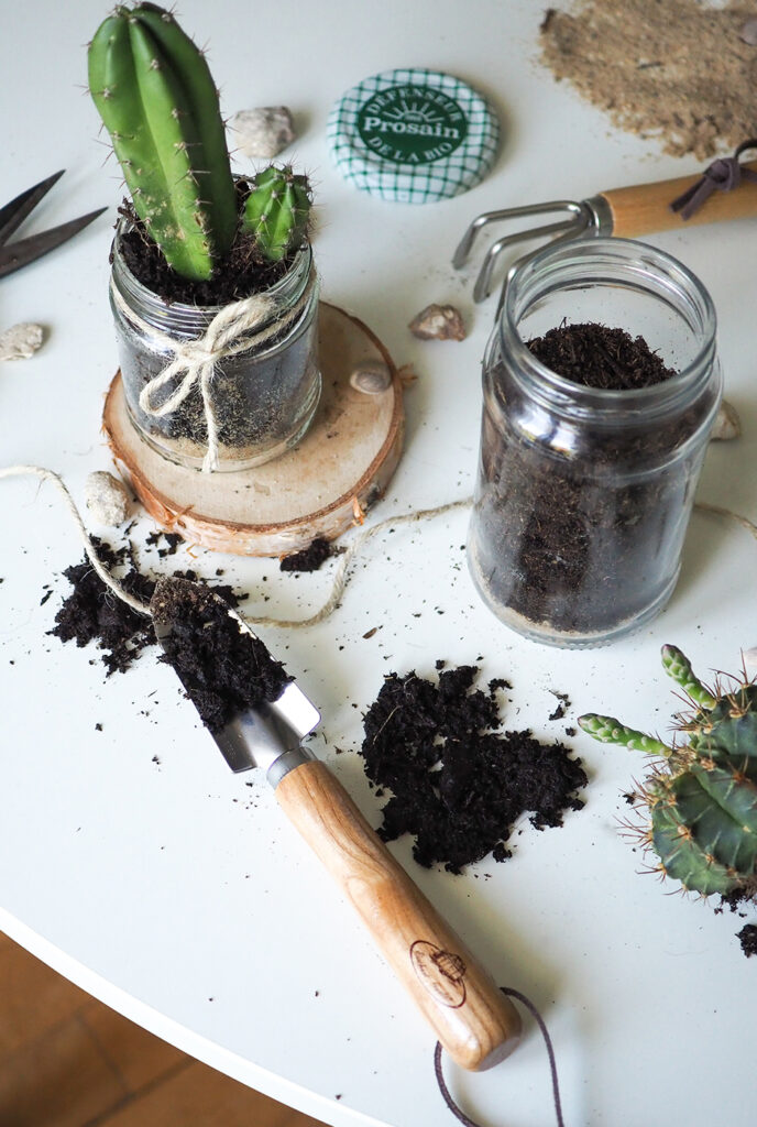 Confectionnez de jolis pots pour cactus - Prosain